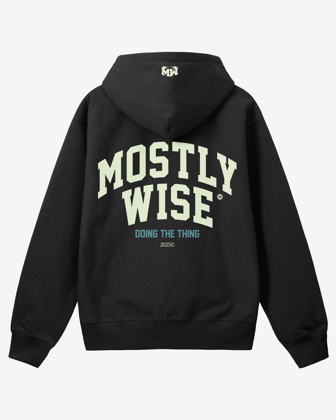 Mostly Wise Black Hoodie – Modern Wisdom Official Store – Modern Wisdom ...